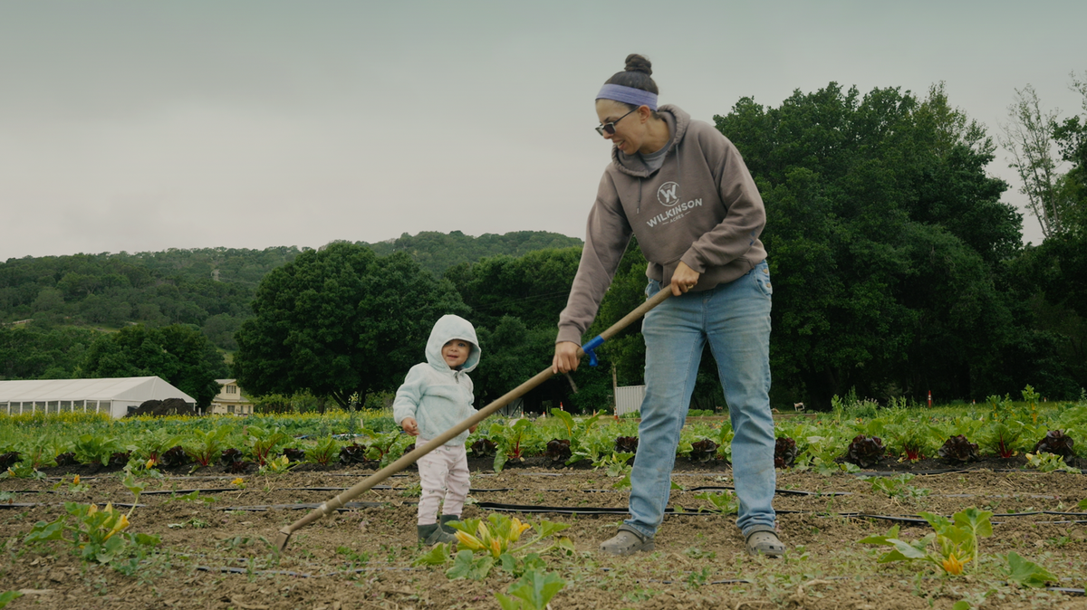Regenerative Harvest Box – Farmfluence
