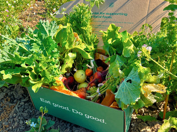 Regenerative Harvest Box – Farmfluence